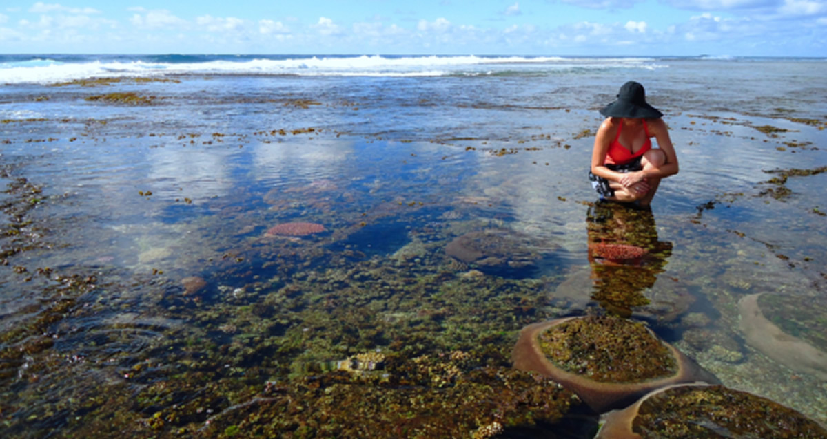For Sale | Ocean Front Property in Vanuatu with income